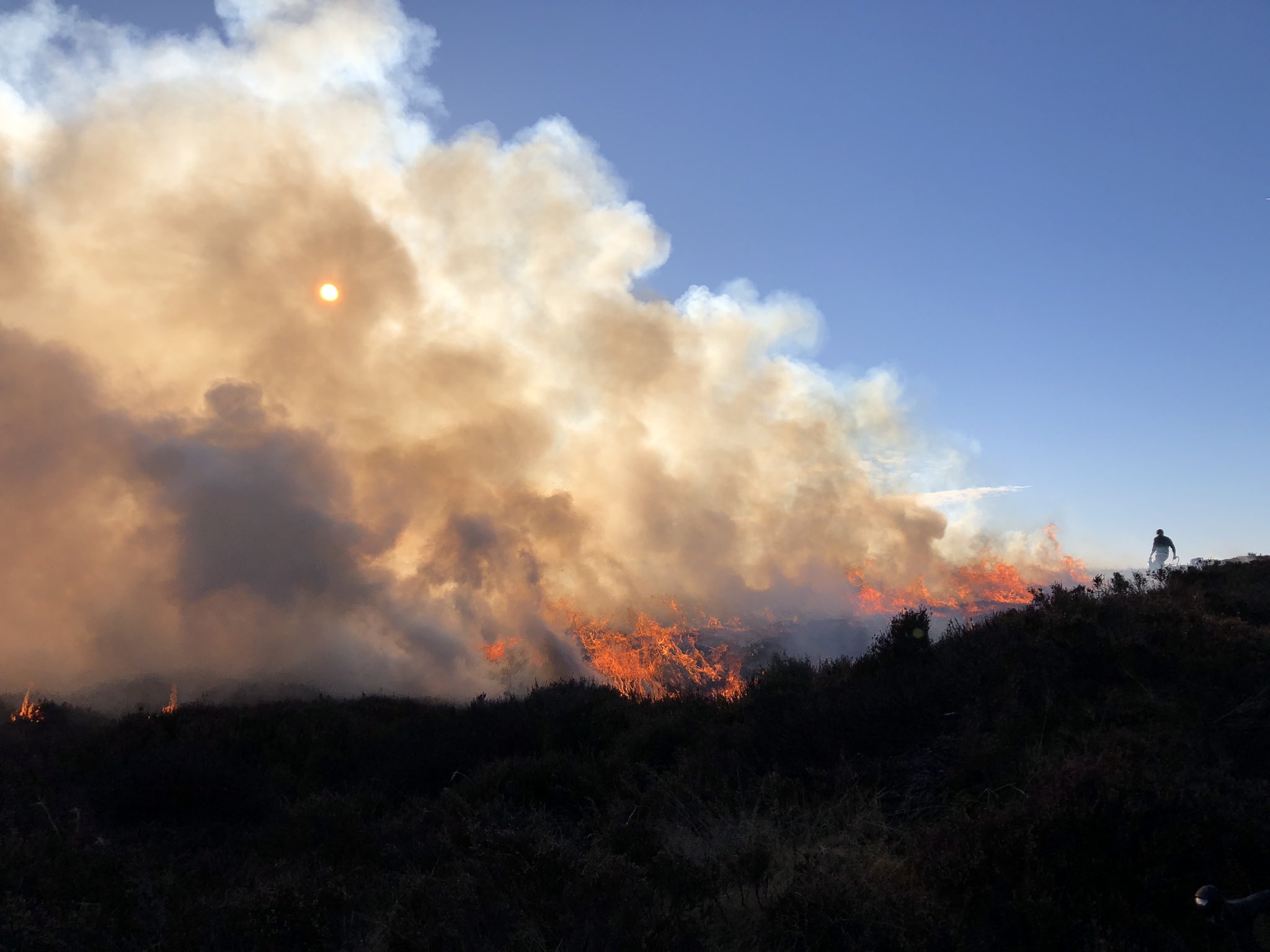 Wild Moors – Creating an uplands which is respected, restored and ...