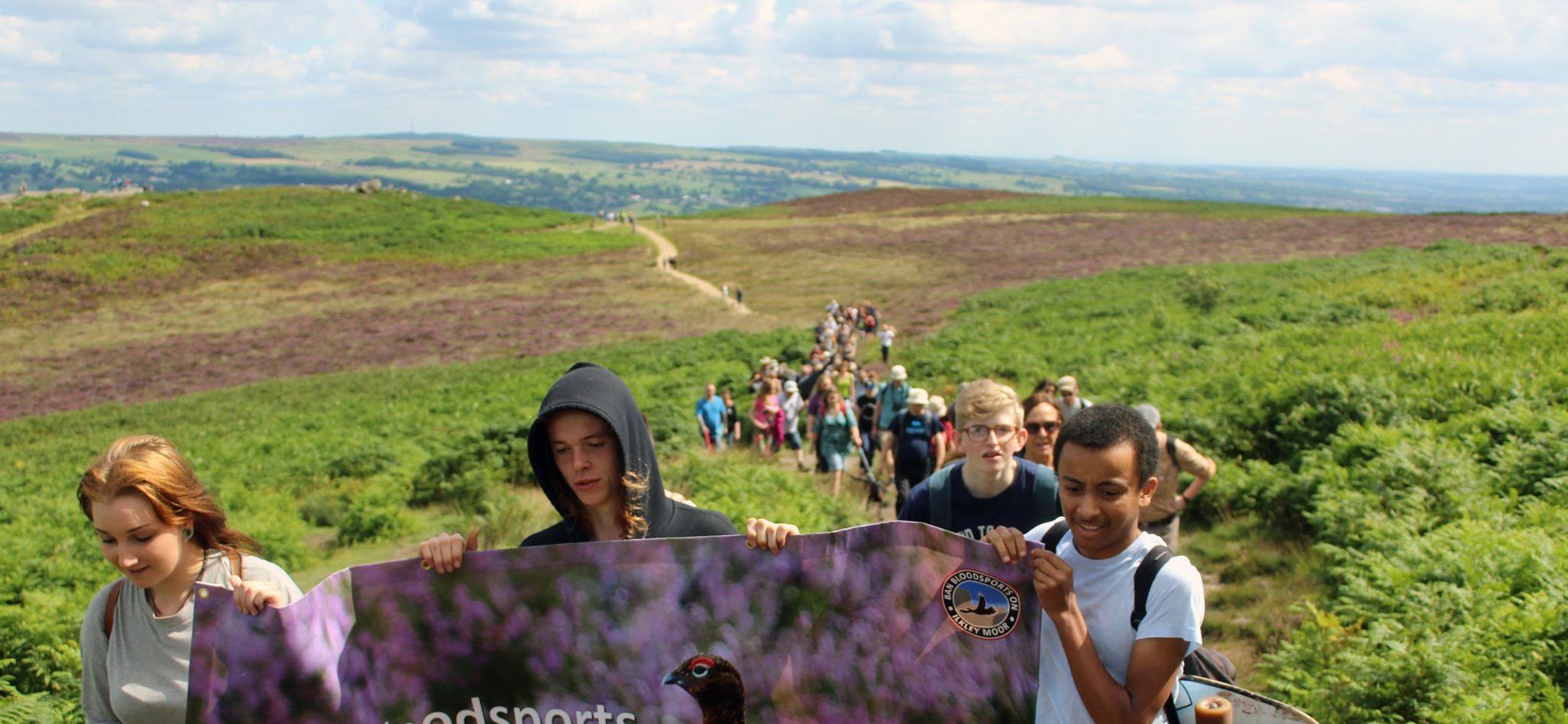 Campaigning to restore nature in the uplands – Wild Moors