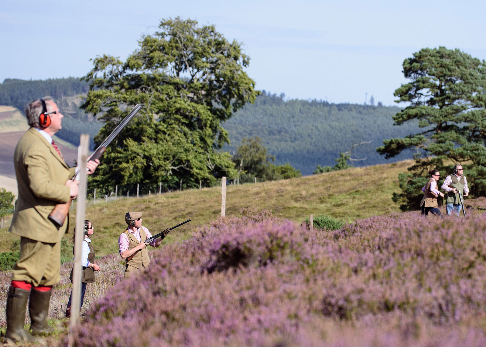 Solutions for creating sustainable uplands – Wild Moors