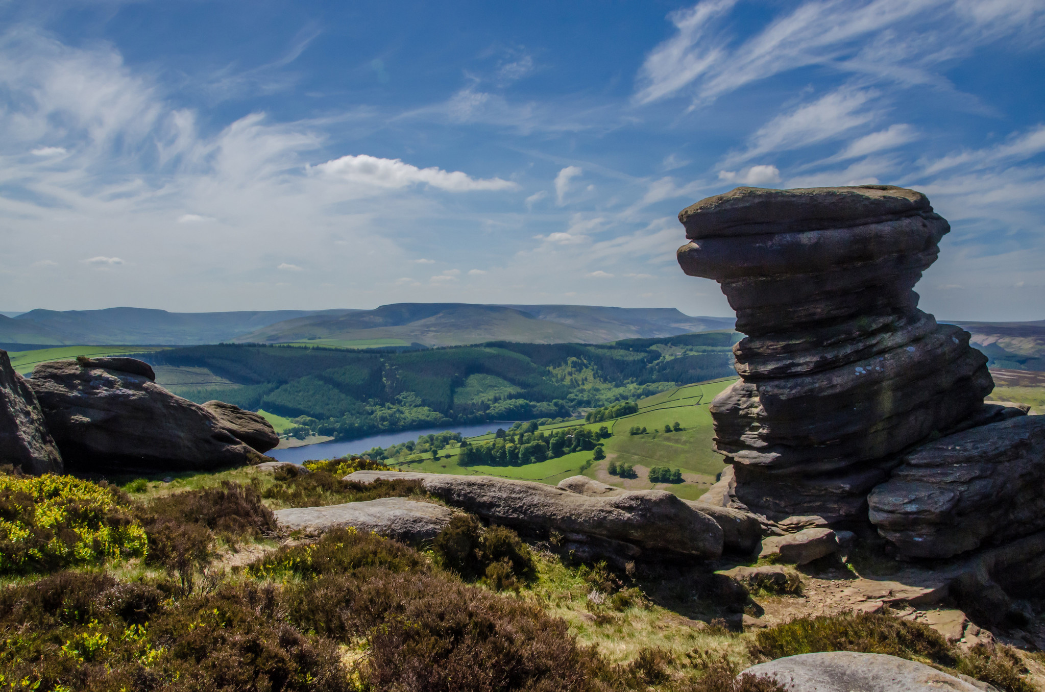 Wild Moors – Creating an uplands which is respected, restored and ...