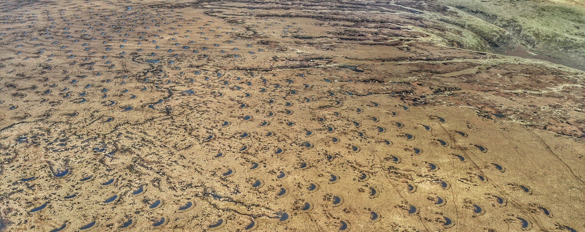 The ‘giant sponge’ moorland tackling climate change and protecting ...