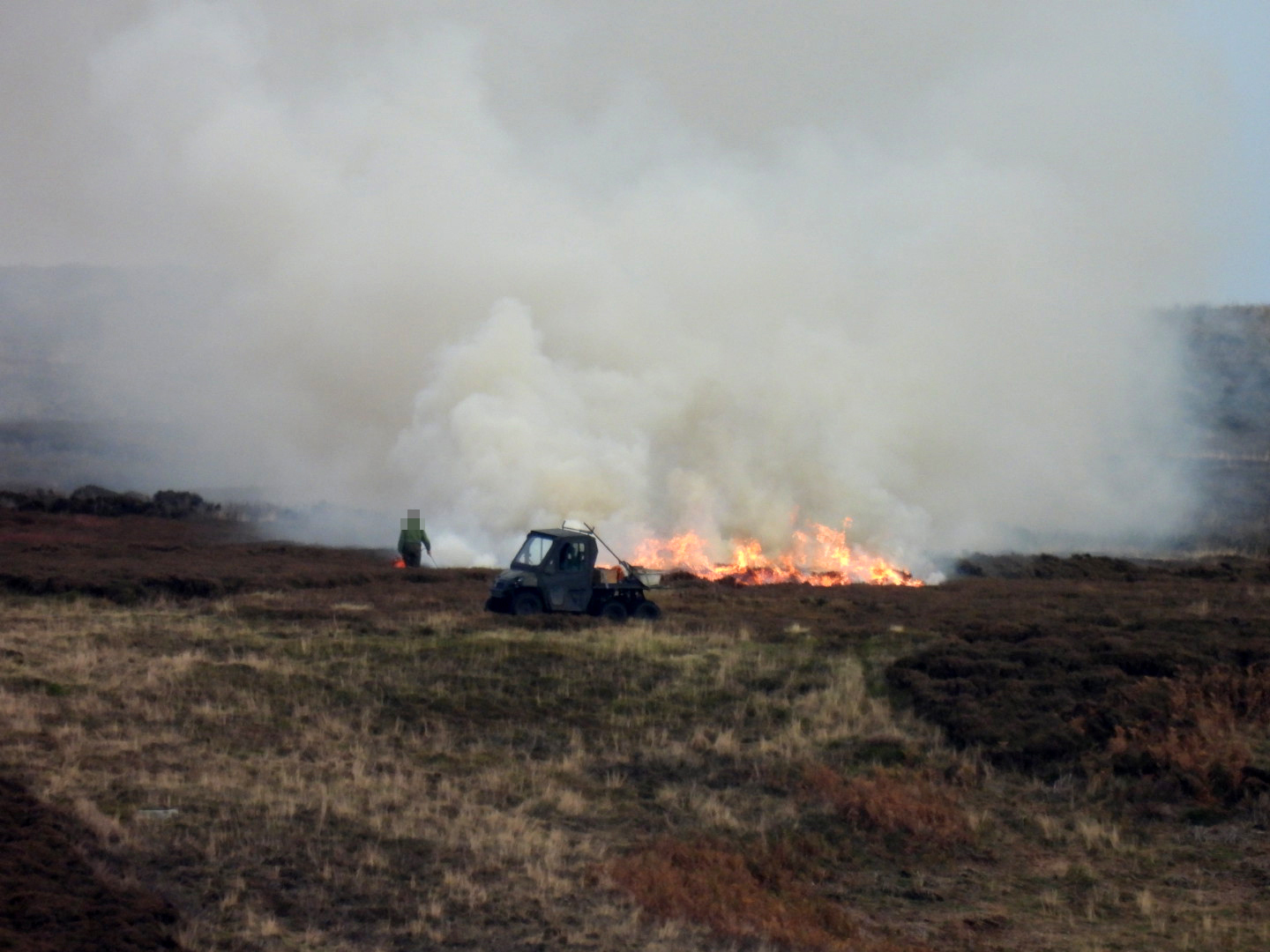 Grouse moors burn while world leaders discuss climate emergency – Wild ...