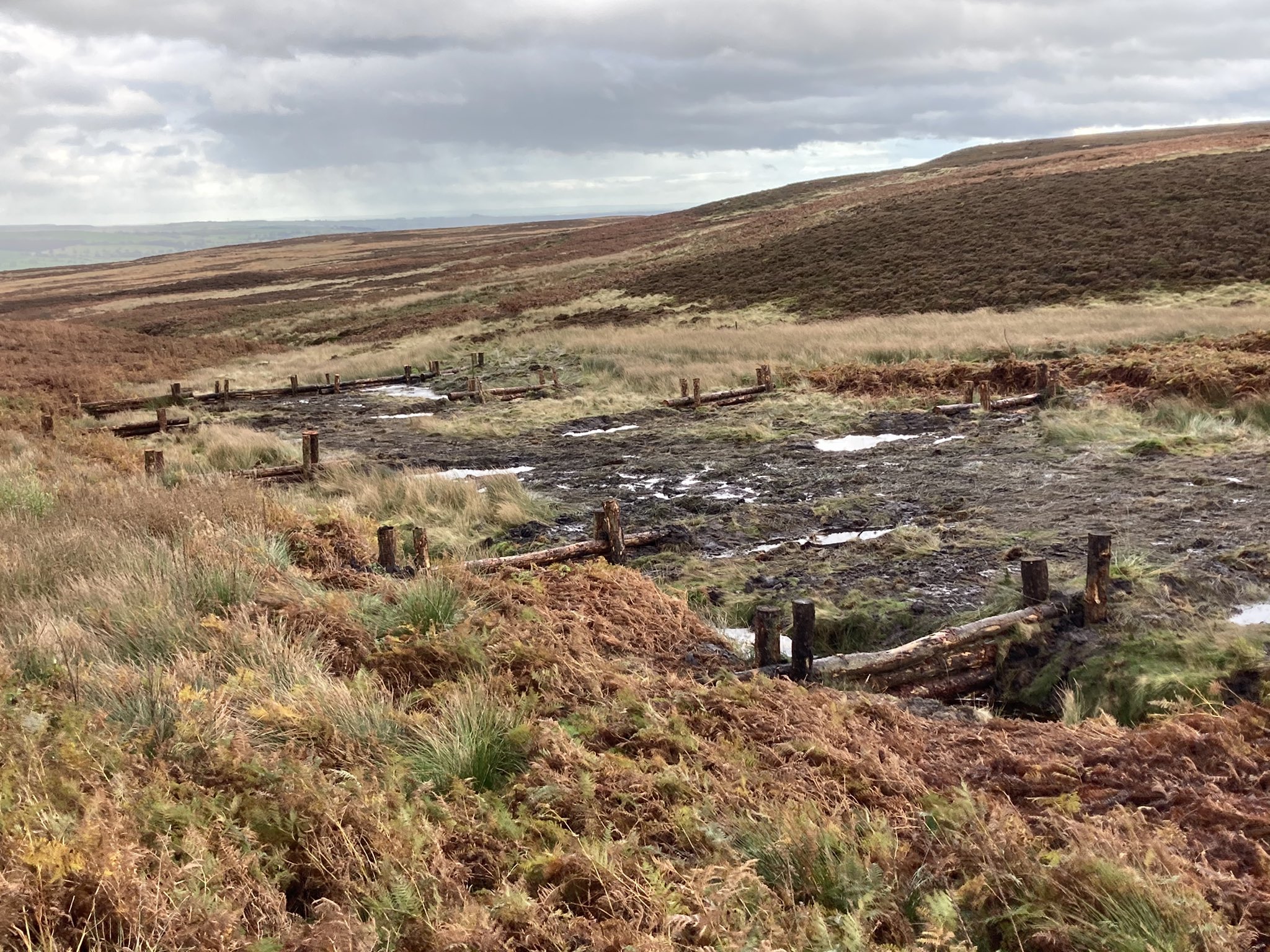 Bradford Council scales up peatland restoration following success on ...