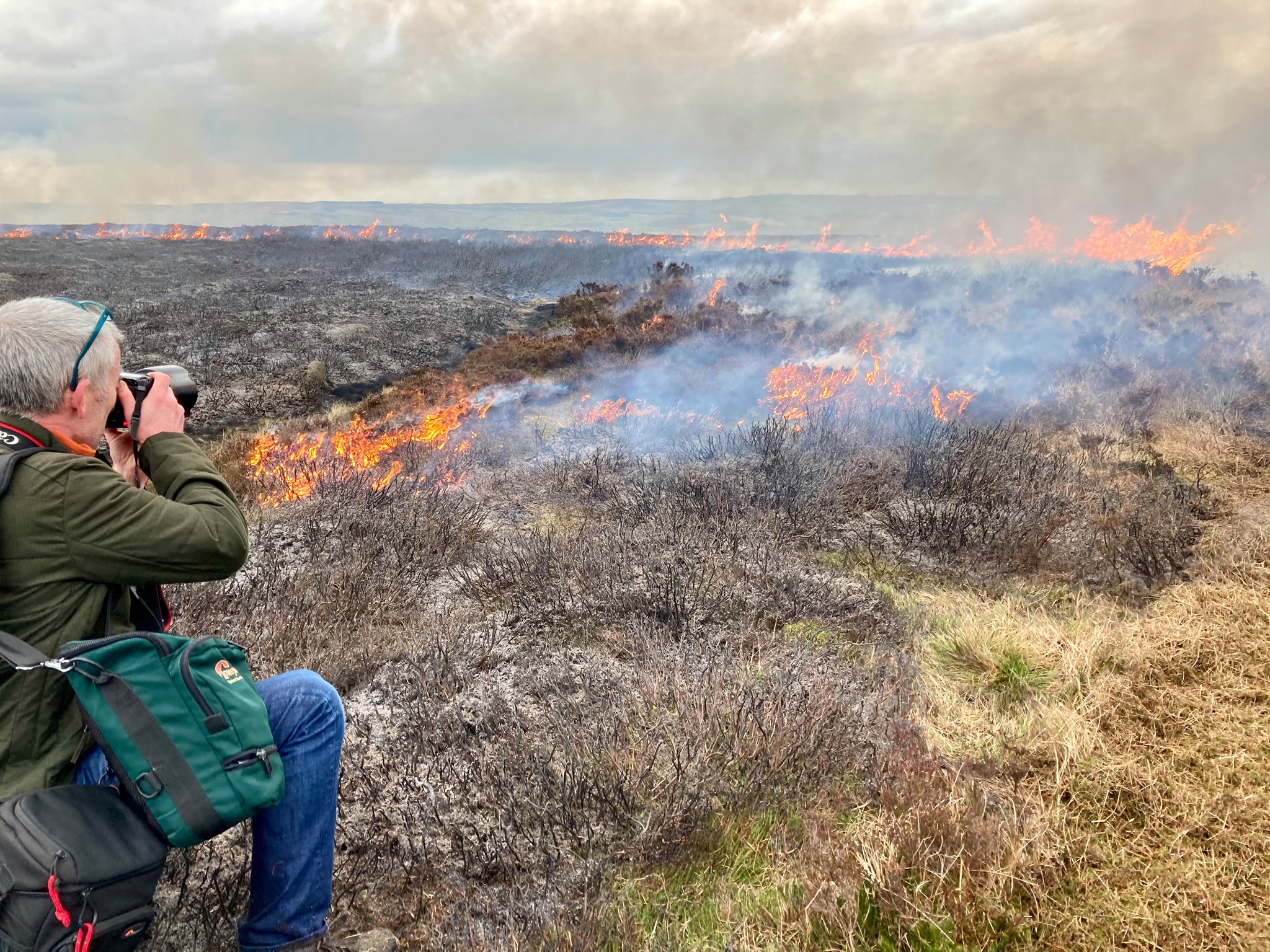 Research and investigations – Wild Moors