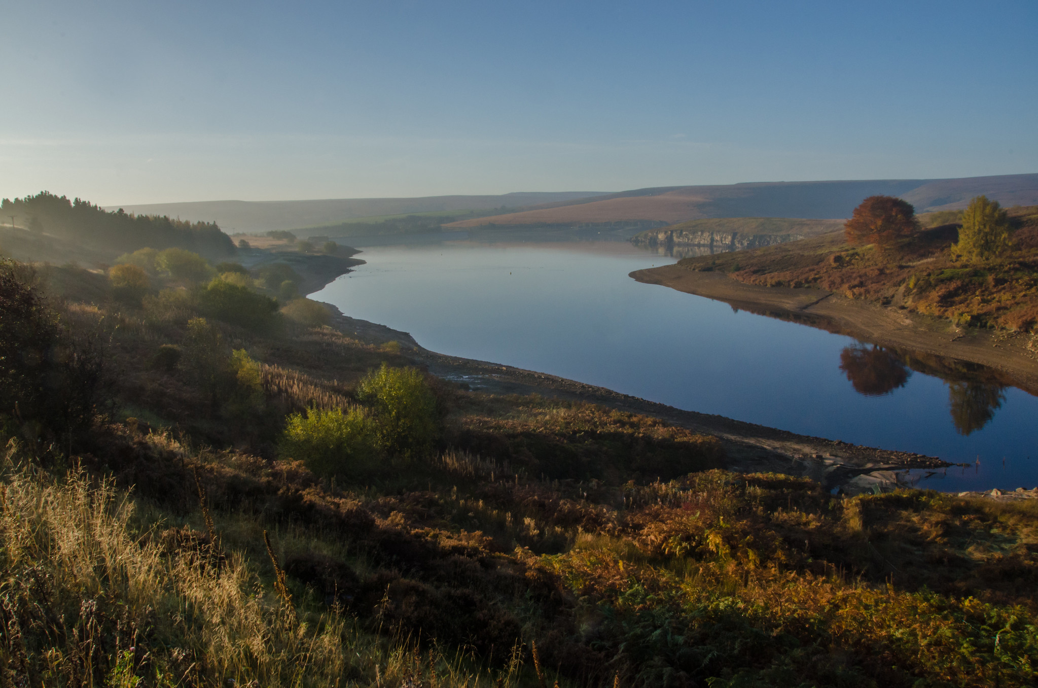 Restoring wild moors to improve water quality – Wild Moors