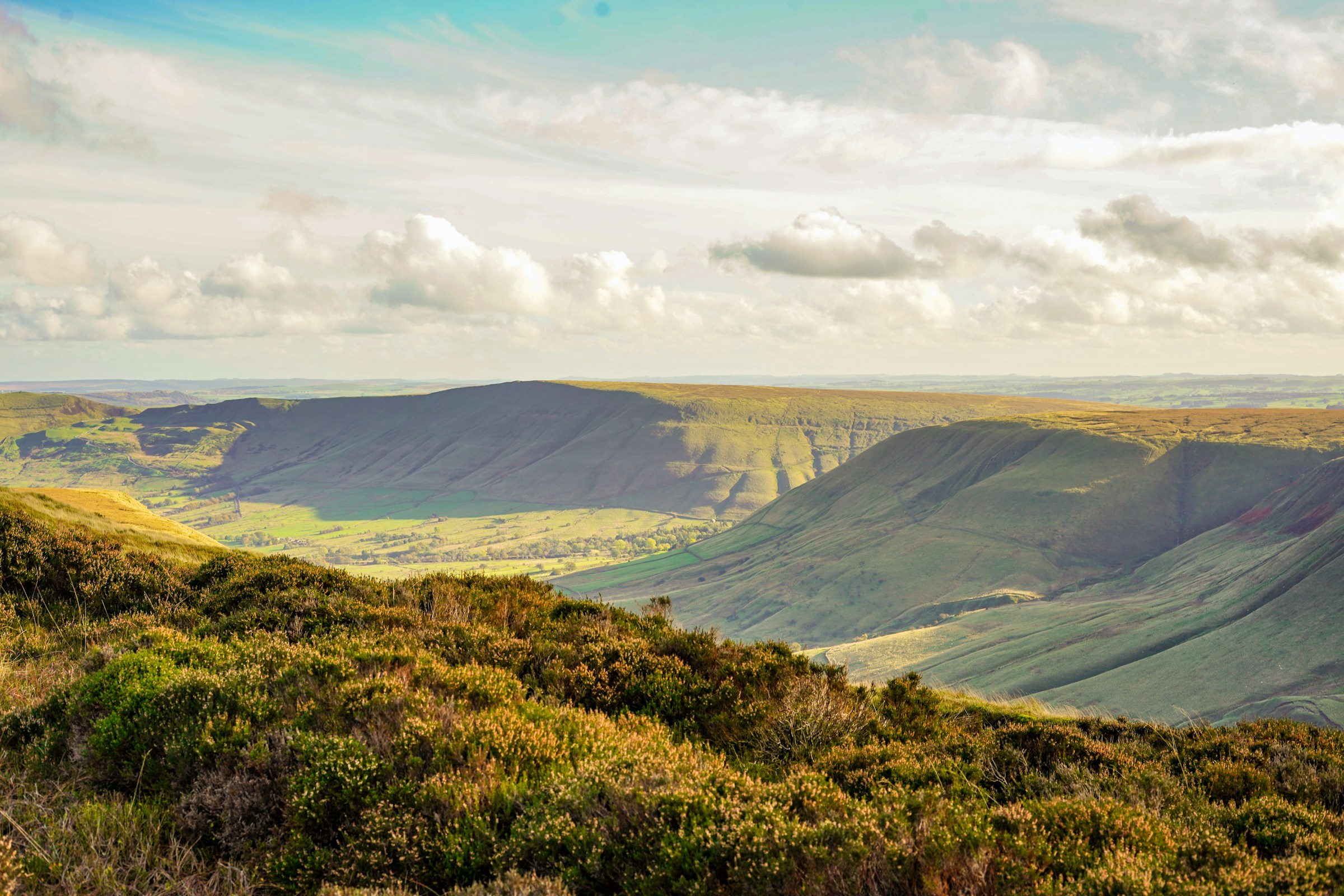 National Trust reaches landmark nature restoration targets ahead of ...