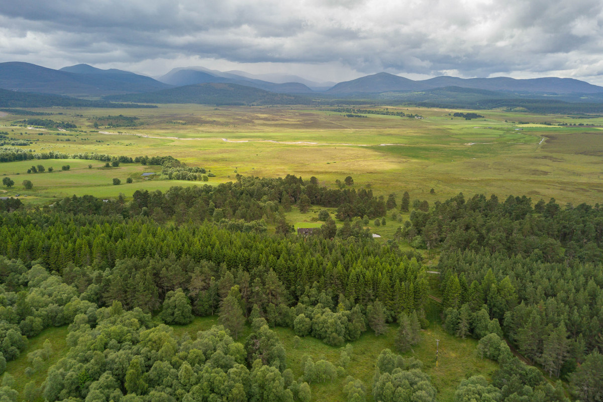 Dorback Estate acquired for landscape scale nature restoration – Wild Moors